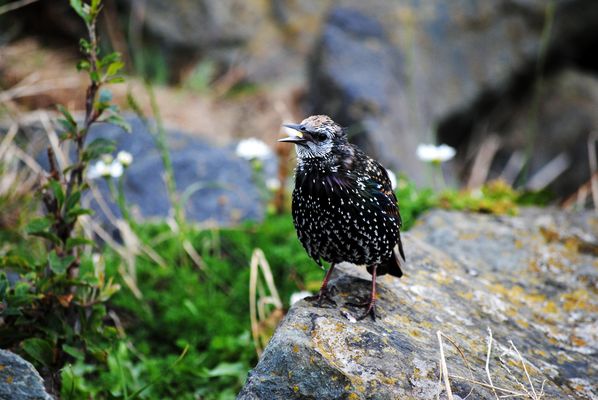 moerli - Fotos & Bilder - Fotografin | fotocommunity