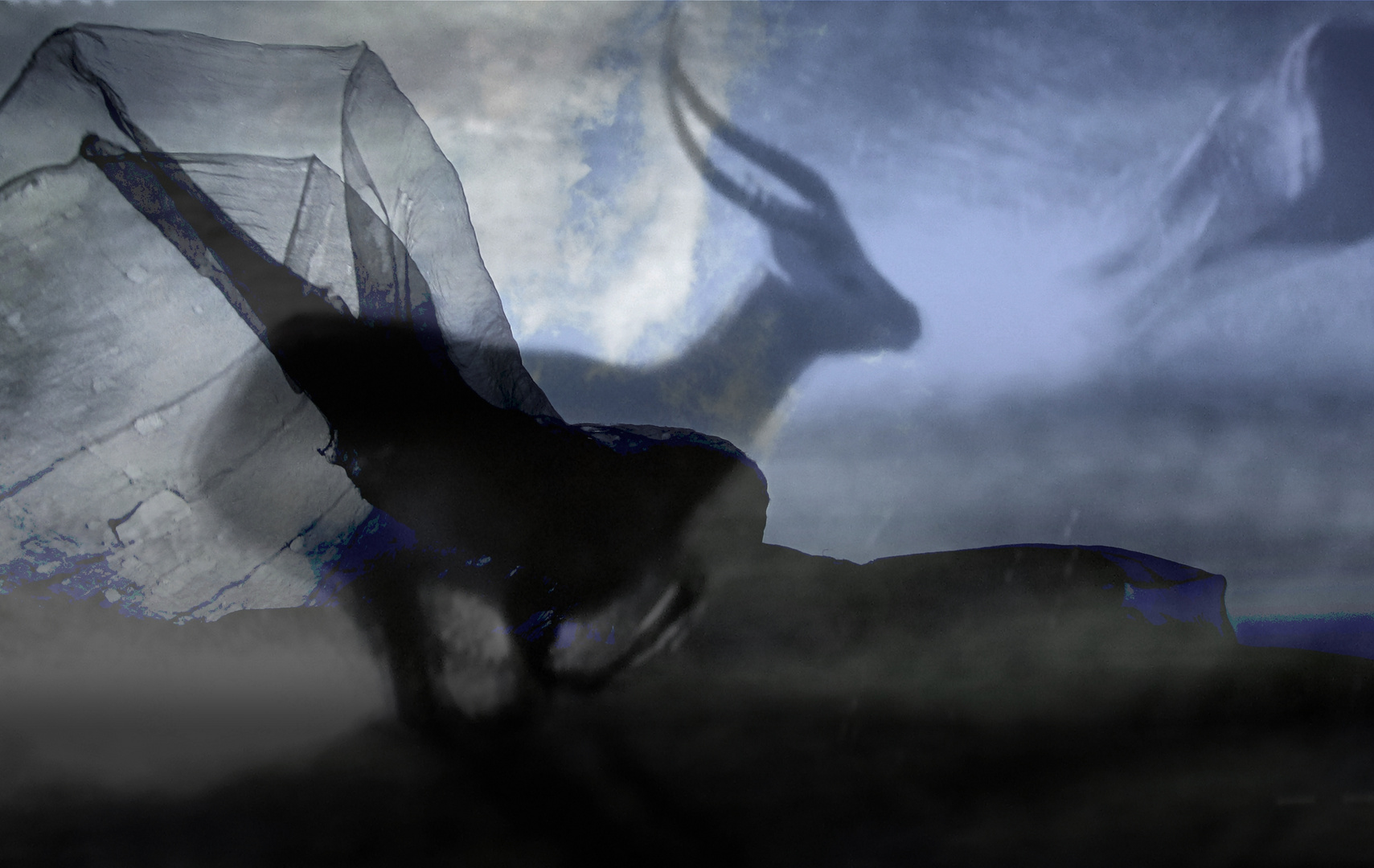 Irre Zeiten Foto & Bild | emotionen, entsetzen und entrüstung, art ...