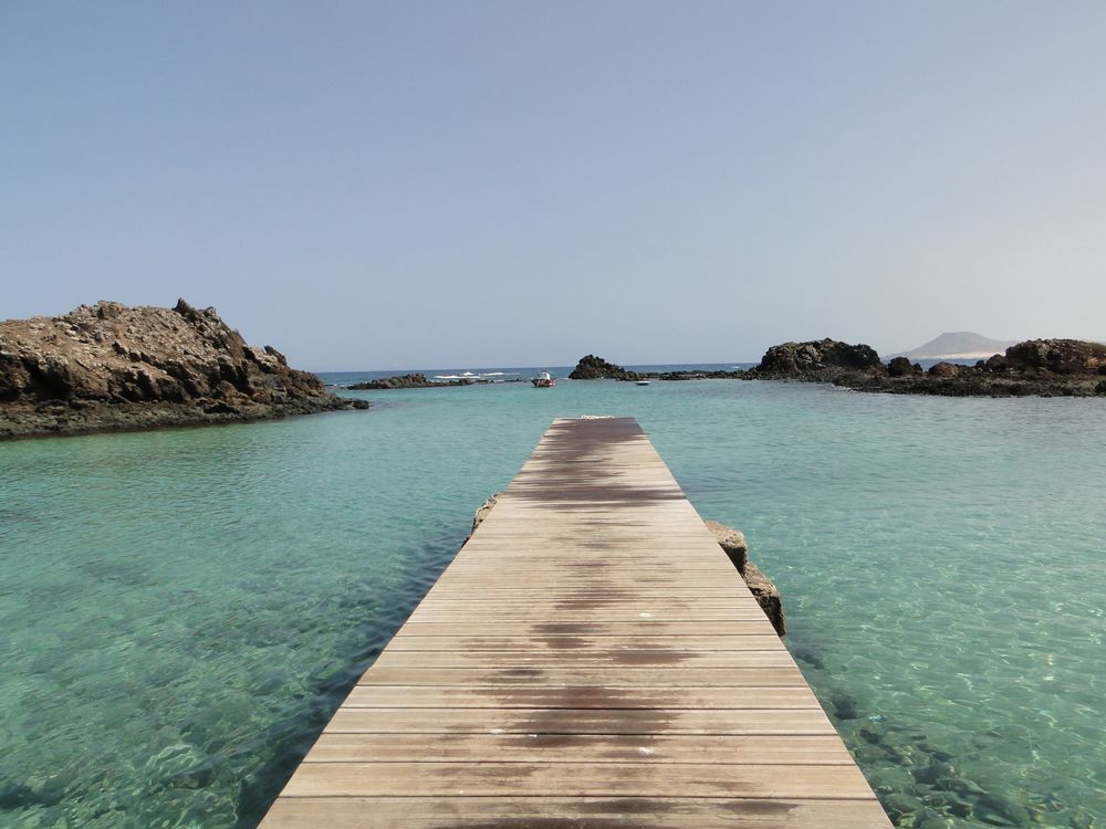 Isla del lobo Imagen & Foto | archiv, a r c h i v aktuell, concurso ...