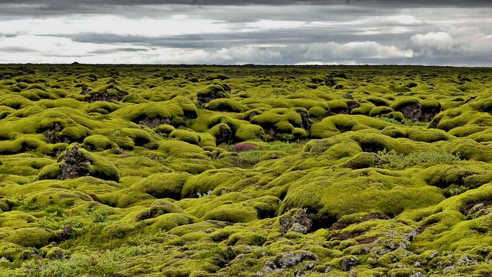 World Bilder & Fotos