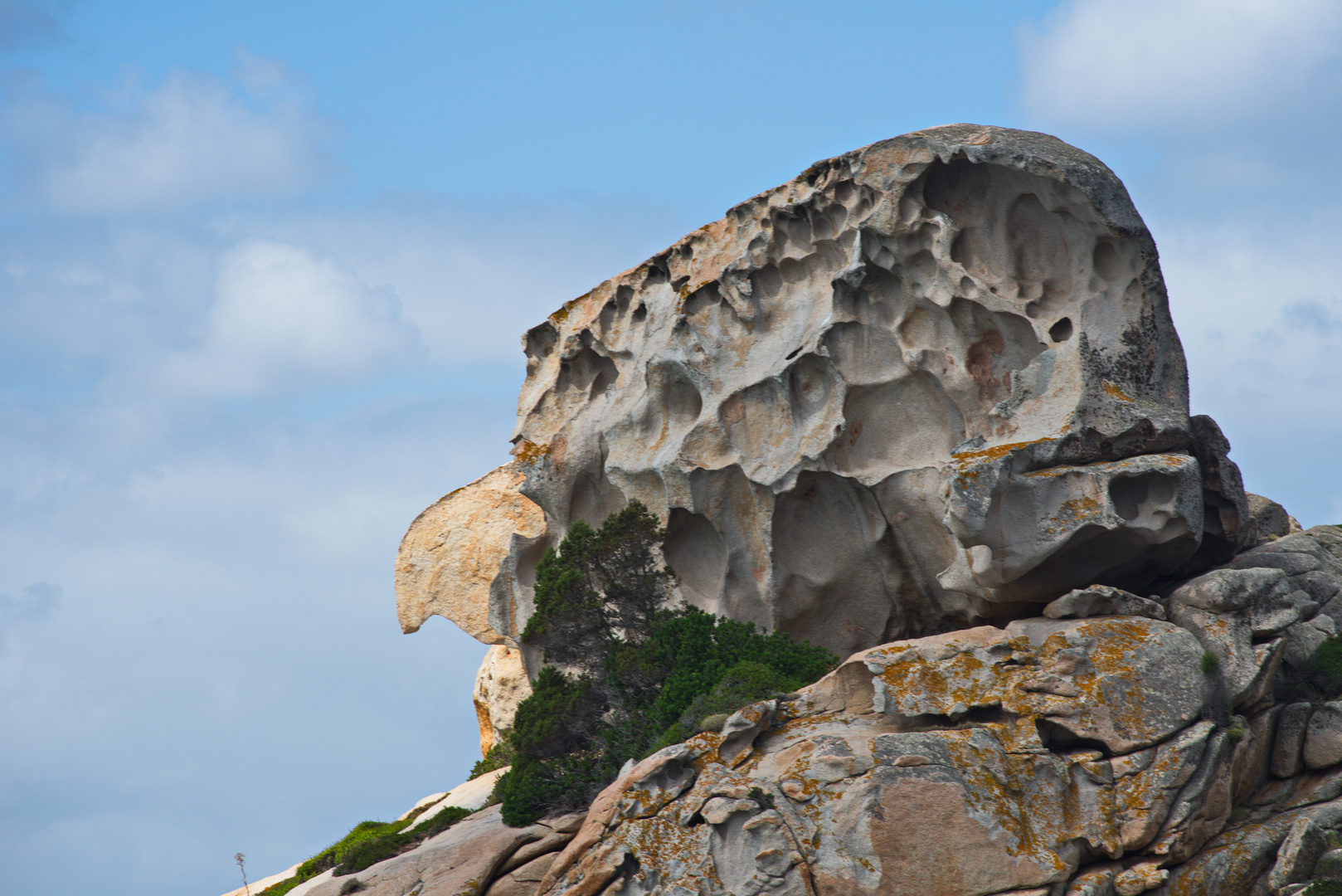Isola Spargi Sardinien Foto & Bild | europe, italy, vatican city, s ...