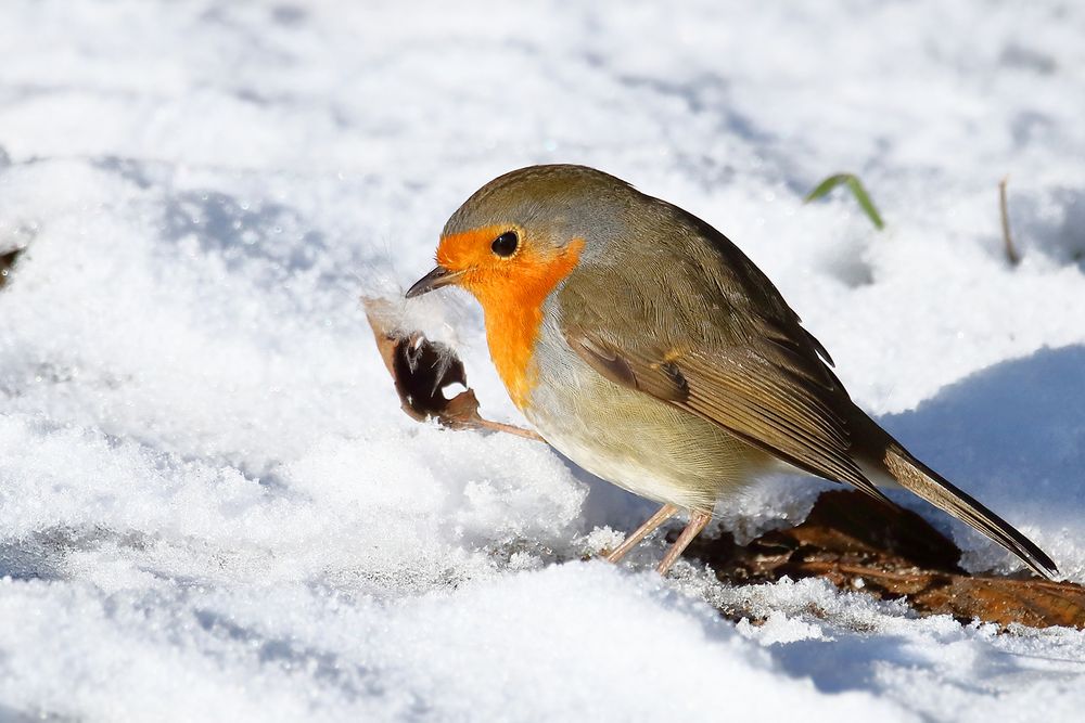 Ist das heute wieder kalt Foto & Bild | fotos, youth, schnee Bilder auf fotocommunity