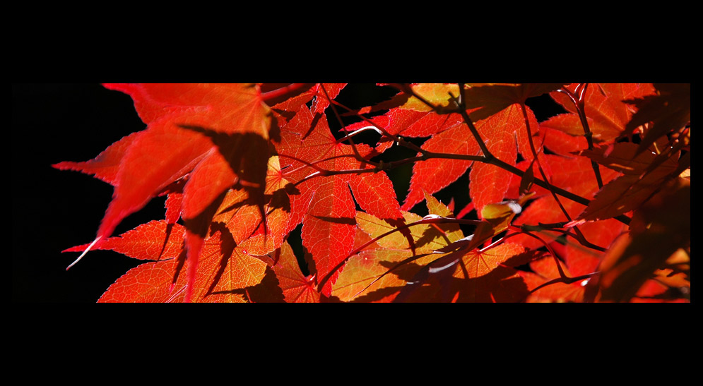 ist das jetzt kitschig [?] Foto & Bild | opt. phänomene der atmosphäre ...
