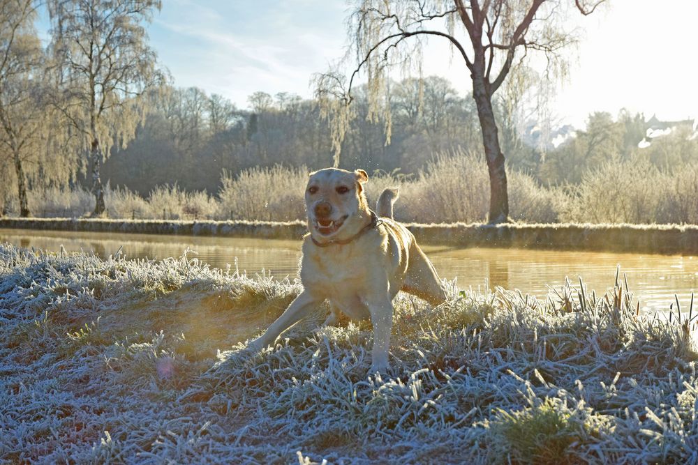 ist das kalt Foto & Bild | winter, eis, natur Bilder auf fotocommunity