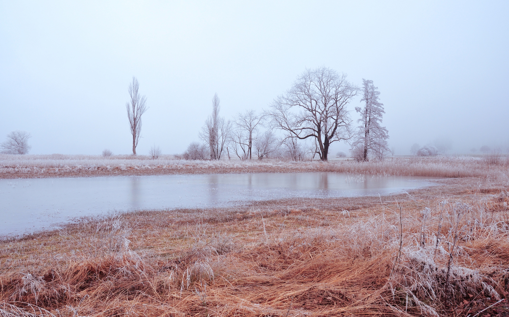 Ist der Winter schon vorbei ??? Foto & Bild | jahreszeiten, winter, natur Bilder auf fotocommunity