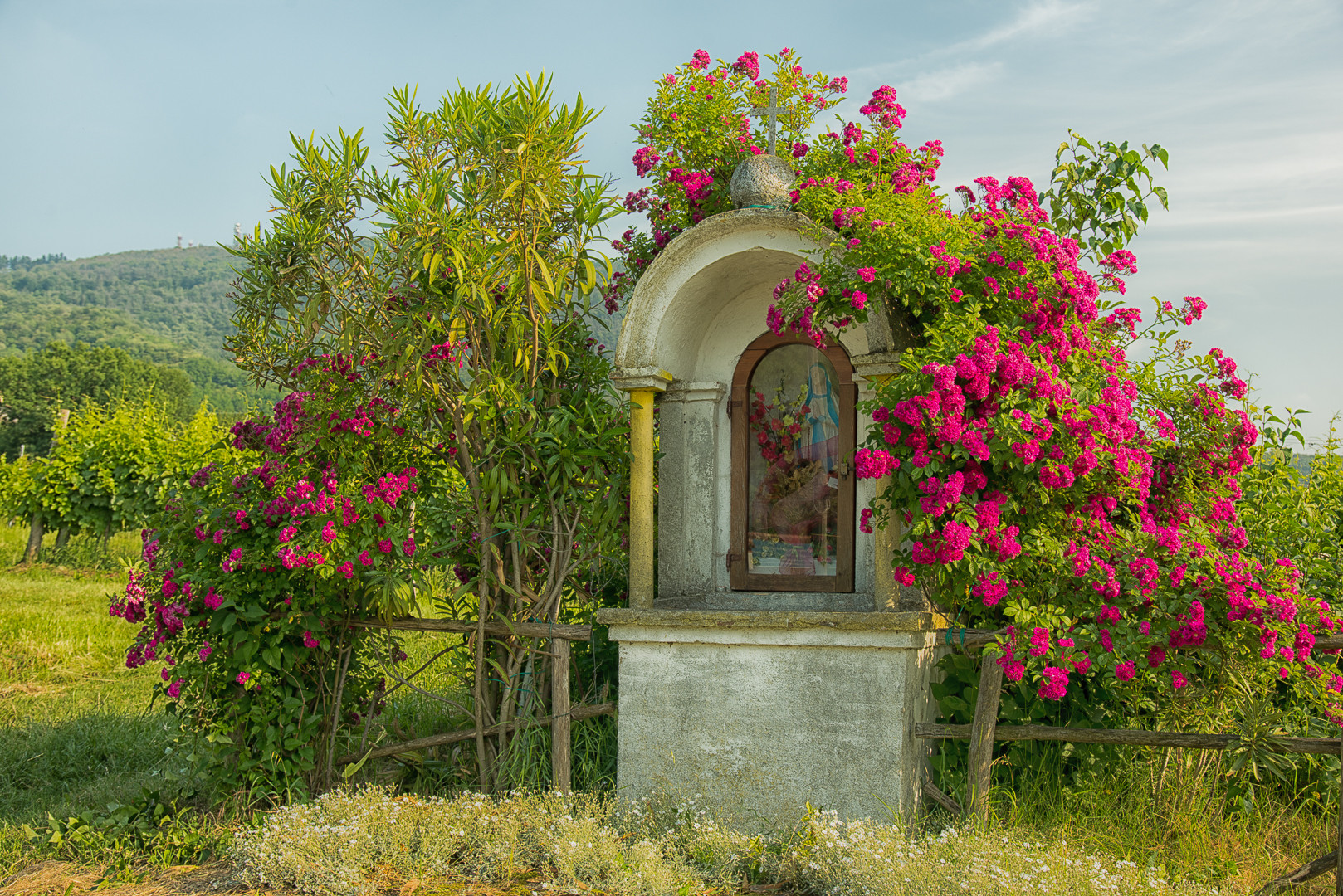 italienische impression Foto & Bild | europe, italy, vatican city, s ...