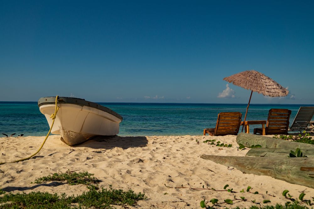 It's done... Foto & Bild | monatswettbewerbe, archiv, 2021 Bilder auf ...