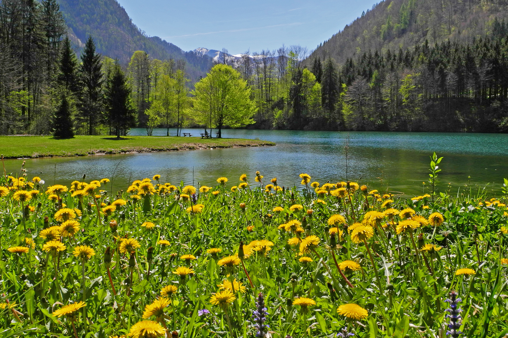 It's Springtime. Foto & Bild | jahreszeiten, frühling, natur Bilder auf ...