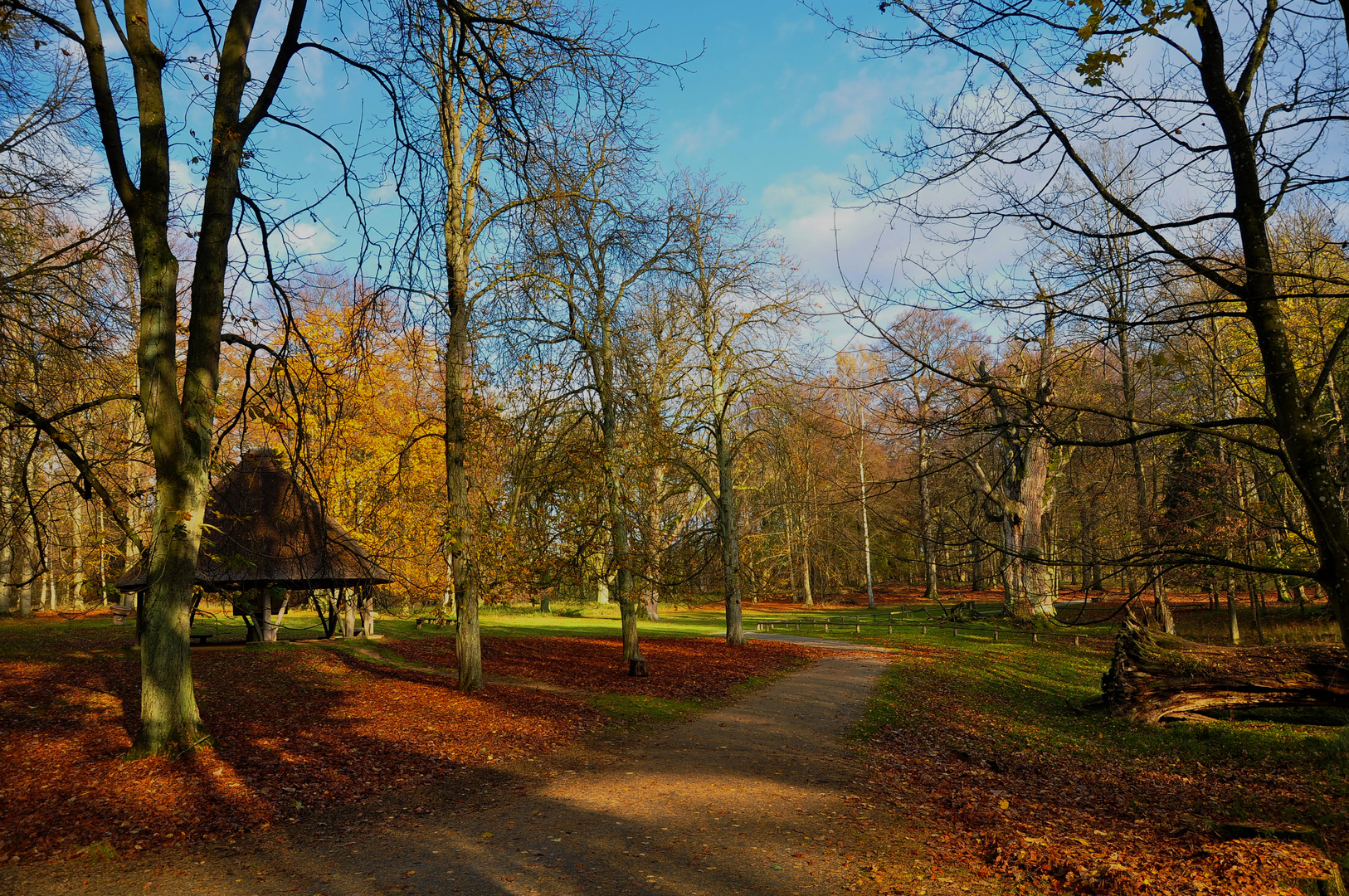 Ivenacker Eichen 2013 0007.jpg Foto & Bild | deutschland, europe ...