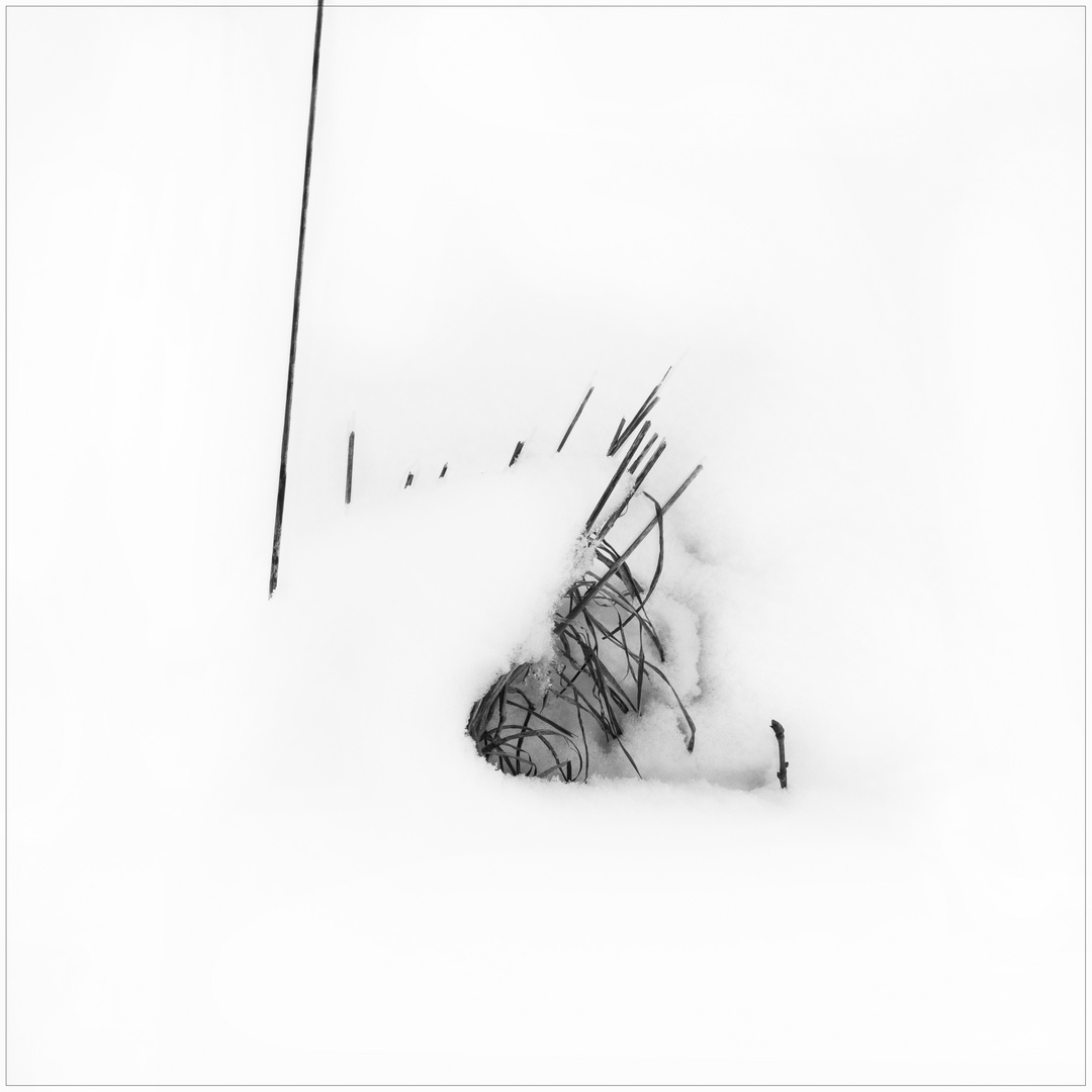 Iz Foto & Bild | germany, winter, natur Bilder auf fotocommunity