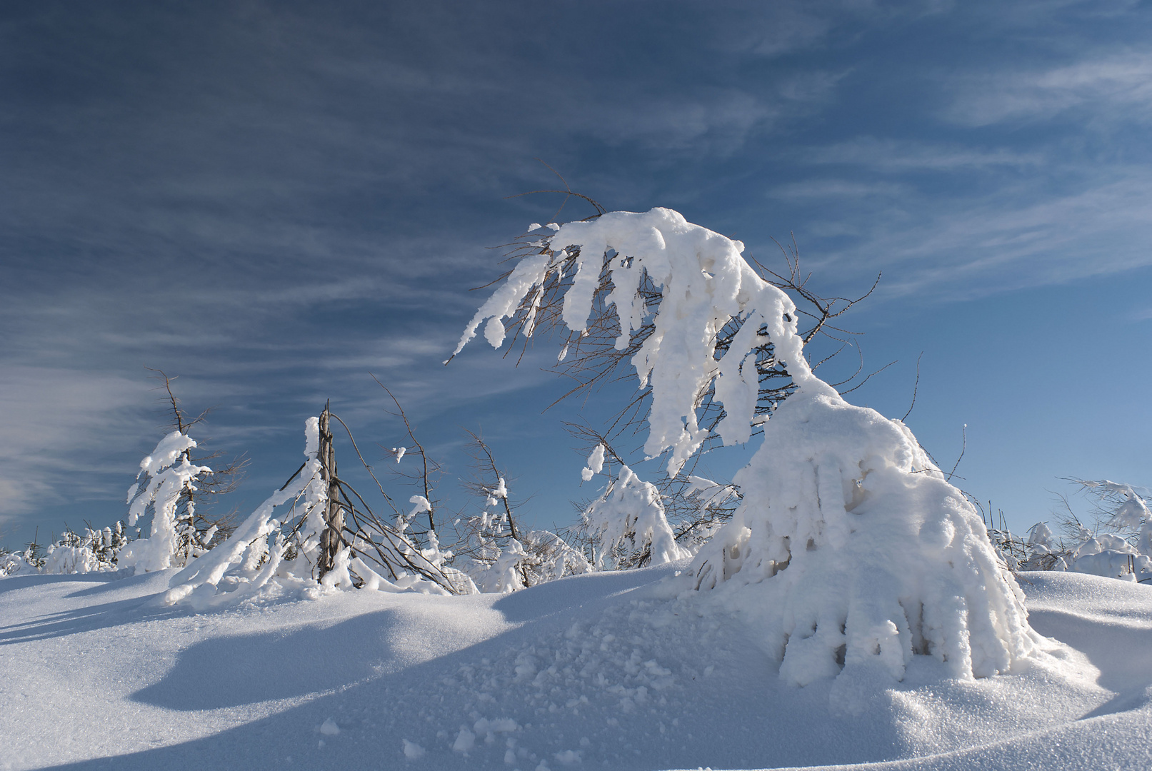 Izery Foto & Bild | abstract nature, nature Bilder auf fotocommunity