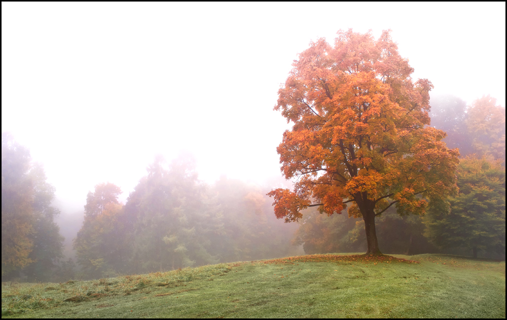 Ja ist denn schon November? Foto & Bild | jahreszeiten, herbst, test ...