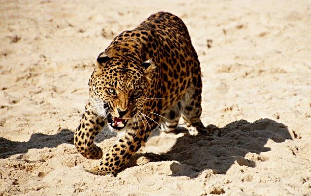 Harry Truschzinski - Fotos & Bilder - Fotograf aus Wettenberg ...