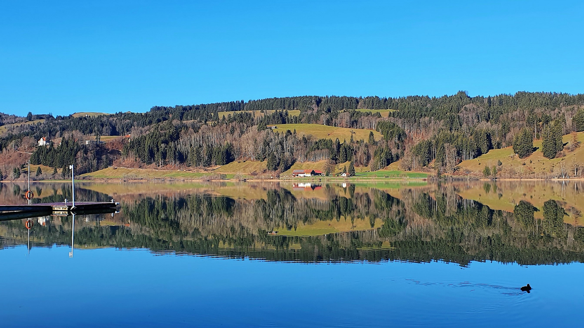 Jahresende am Großen Alpsee Foto & Bild | deutschland, europe, bayern ...