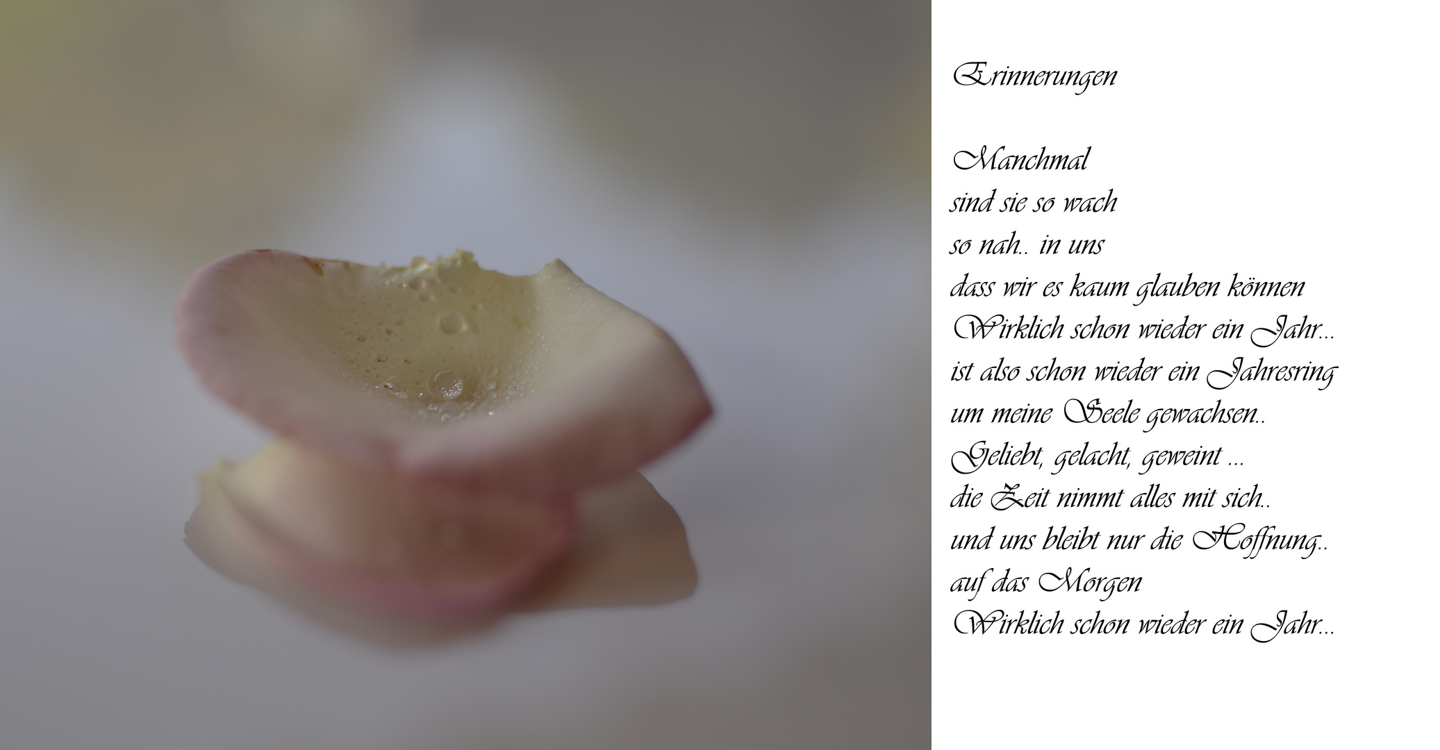 Jahrestage Foto & Bild | karten und kalender, geburtstagskarten, art ...