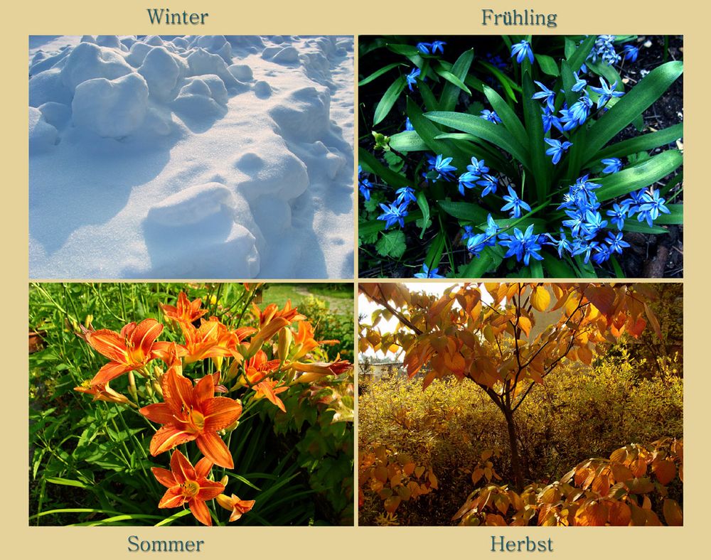 Jahreszeiten Foto & Bild | jahreszeiten, natur , natur Bilder auf fotocommunity
