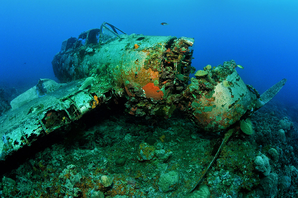 Jake Seaplane Foto & Bild | unterwasser, uw-salzwasser, natur-kreativ ...