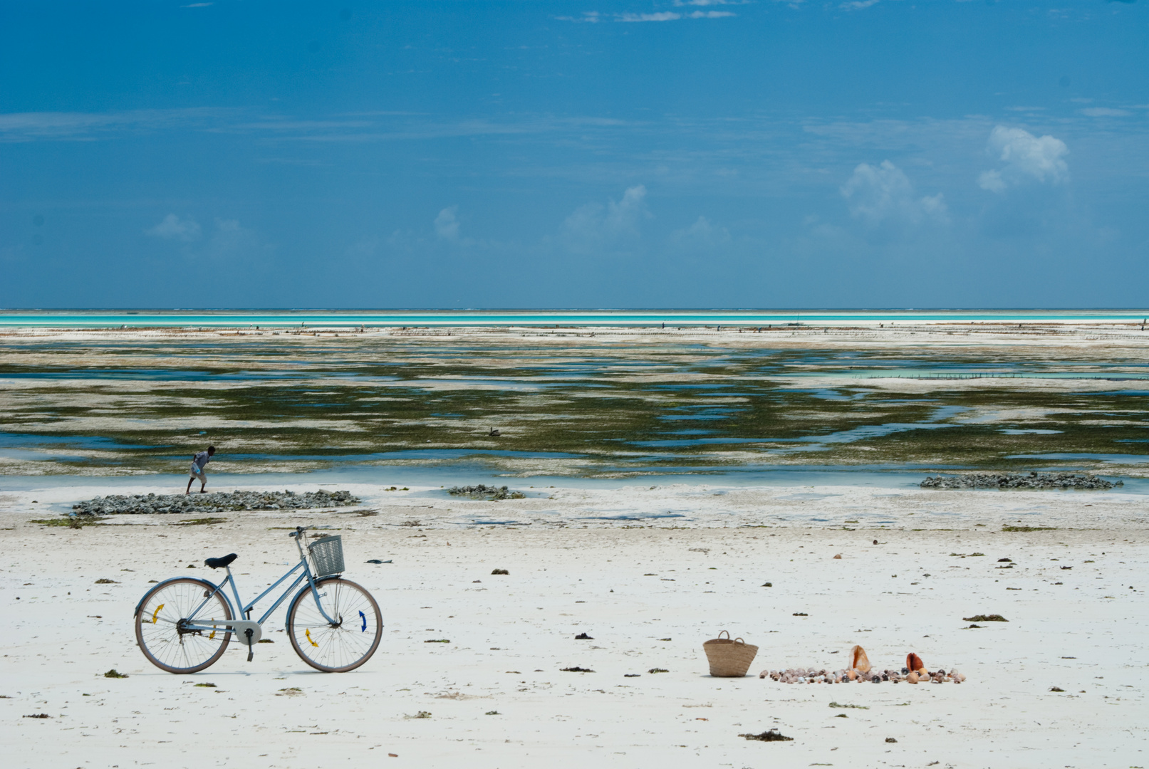 Jambiani Beach Foto & Bild | africa, eastern africa, tanzania Bilder ...