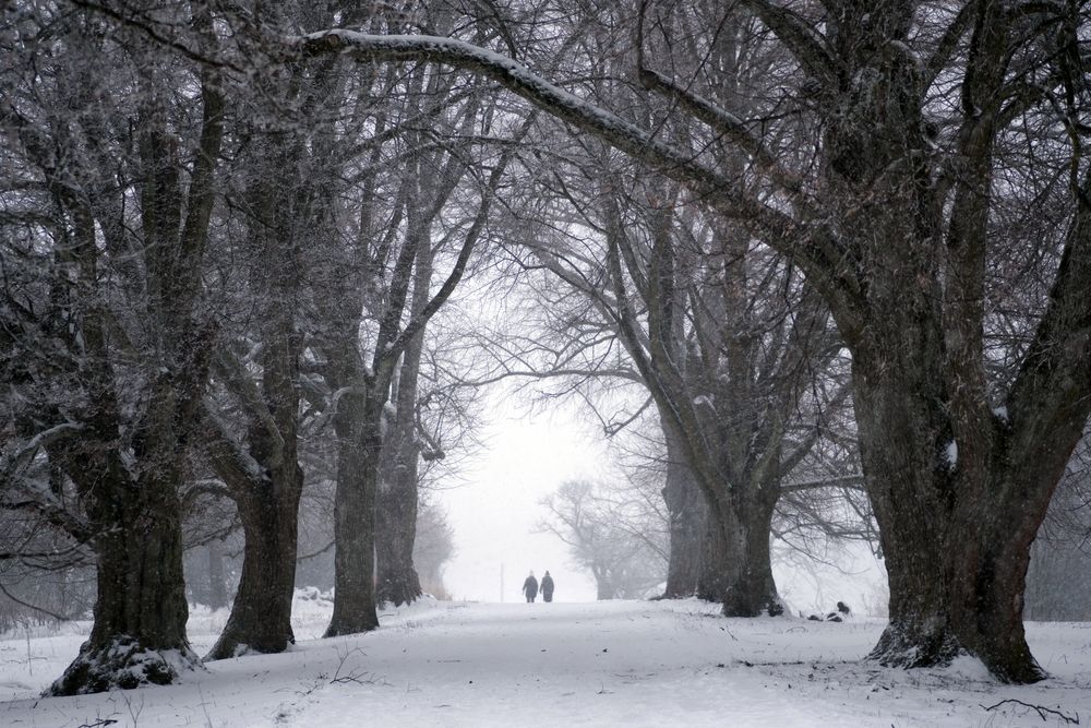 Januar 2023 Foto & Bild | kalt, januar, winter Bilder auf fotocommunity