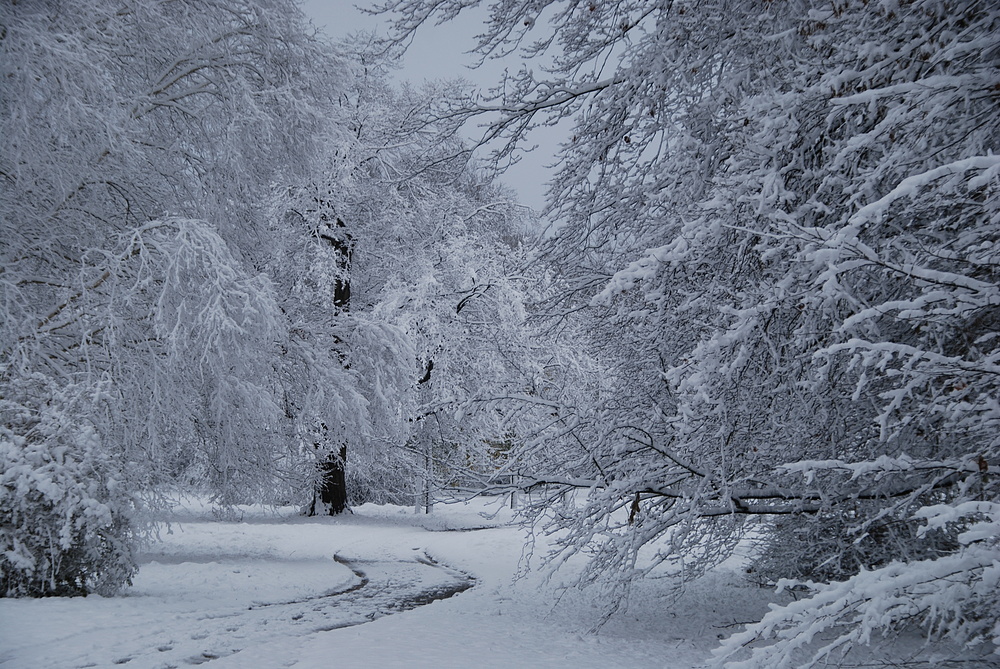 __Januar__ Foto & Bild | jahreszeiten, winter, natur Bilder auf ...