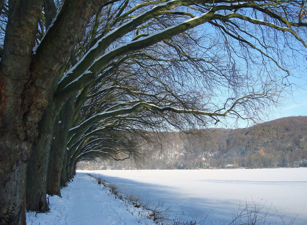 Januar Foto & Bild | landschaft, kalender, natur Bilder auf fotocommunity