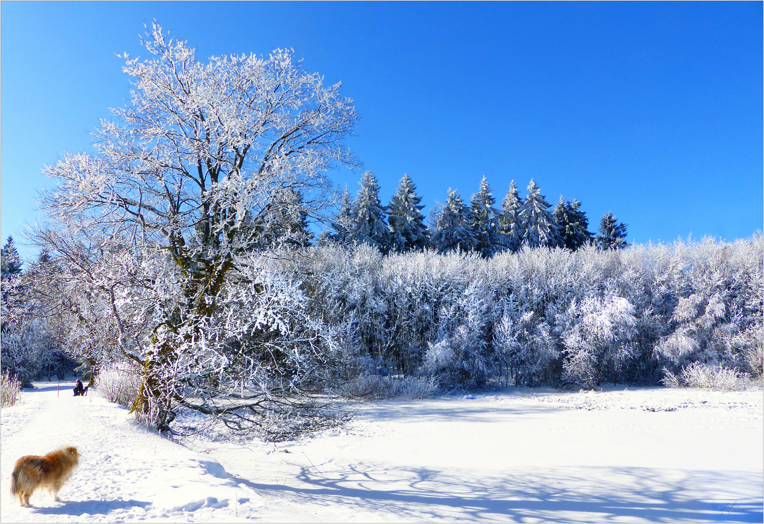 Januar Foto & Bild | dokumentation, outdoor, blau Bilder auf fotocommunity
