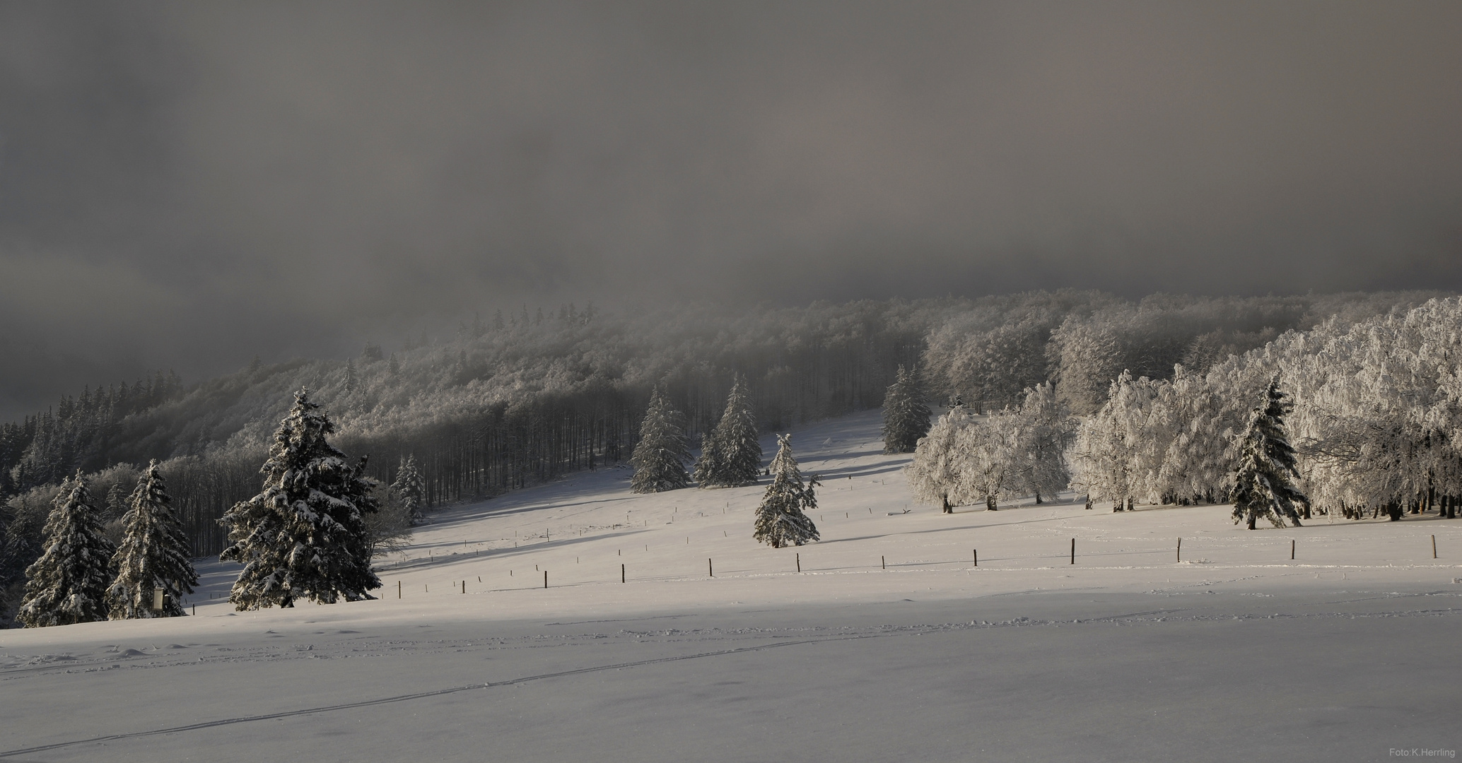 Januar Foto & Bild | jahreszeiten, winter, bäume Bilder auf fotocommunity