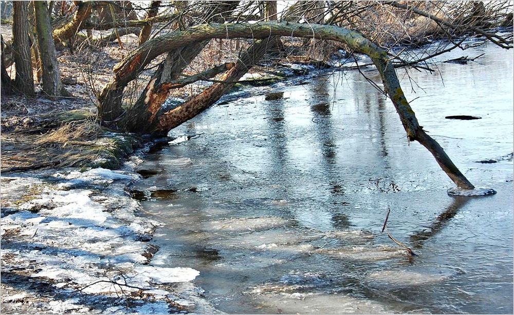 Januar Foto & Bild | jahreszeiten, winter, winter , weihnachten Bilder ...