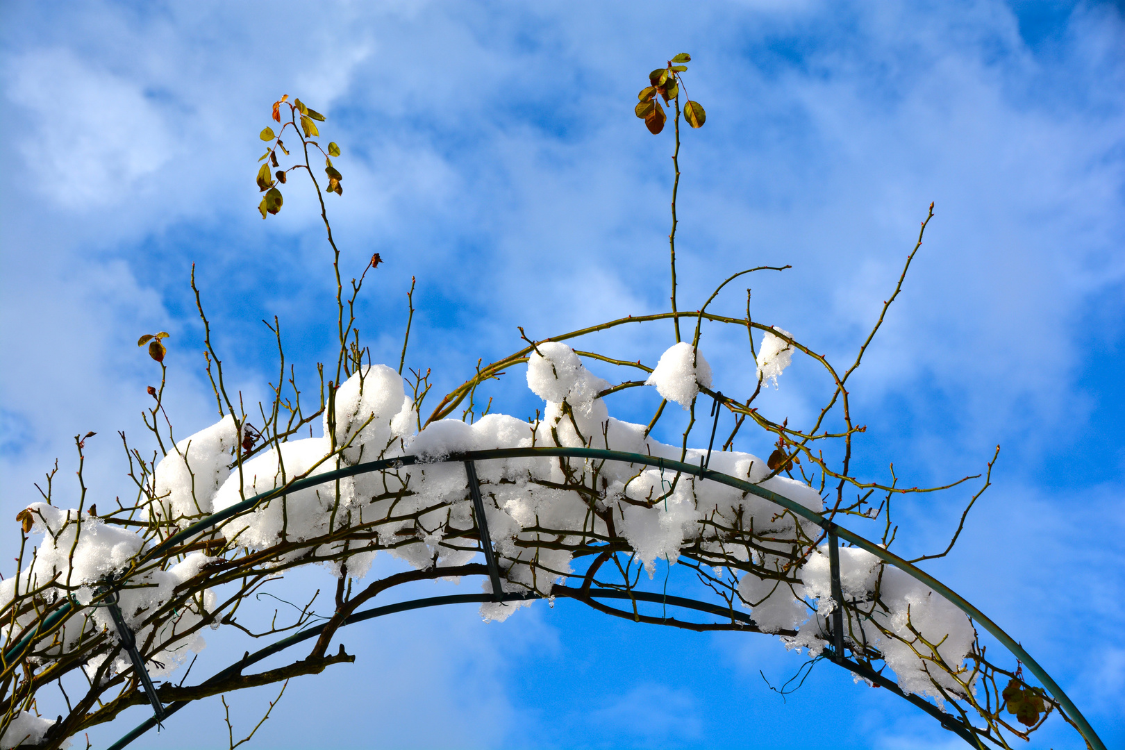 Januar Fotos Teil 3 Foto & Bild | deutschland, europe, saarland Bilder ...