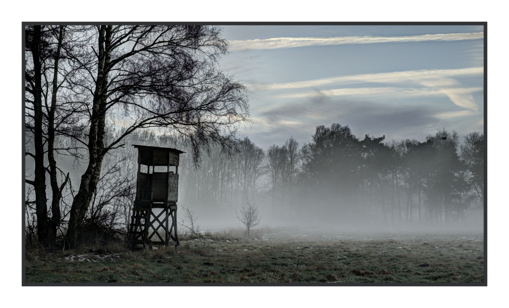 Januar - Jäger im Nebel Foto & Bild | landschaft, heide, mystische ...