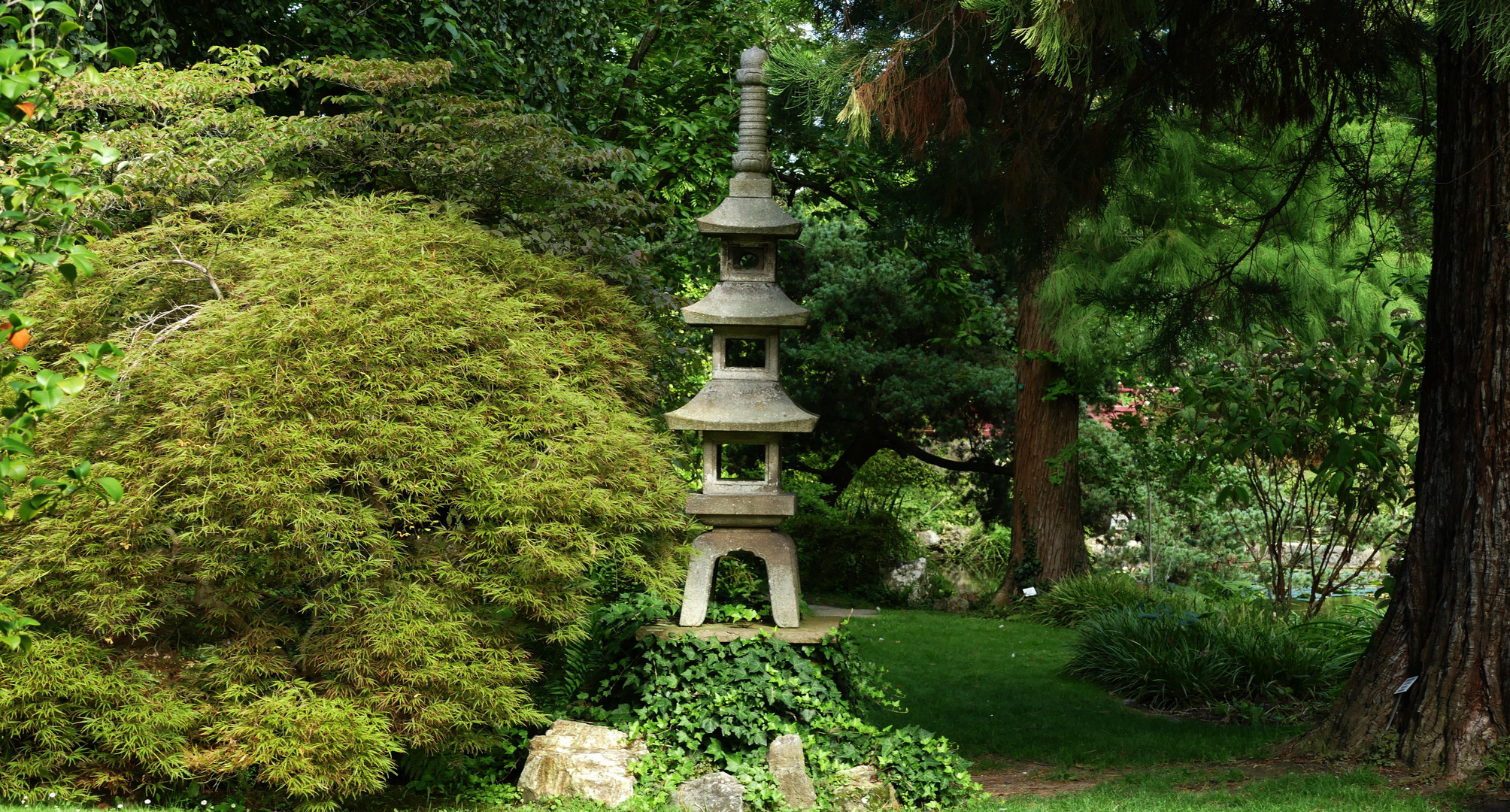 Japanischer Garten Foto & Bild | natur, landschaft, pflanzen Bilder auf ...