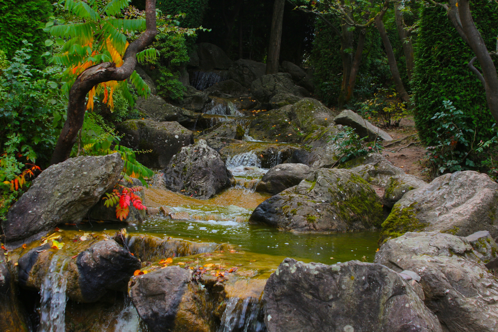Japanischer Garten in Bonn 5 Foto & Bild | landschaft, wasserfälle ...