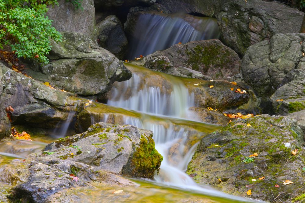 Japanischer Garten in Bonn 6 Foto & Bild | landschaft, wasserfälle ...