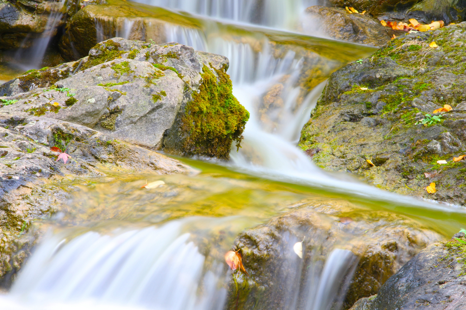 Japanischer Garten in Bonn 7 Foto & Bild | landschaft, wasserfälle ...