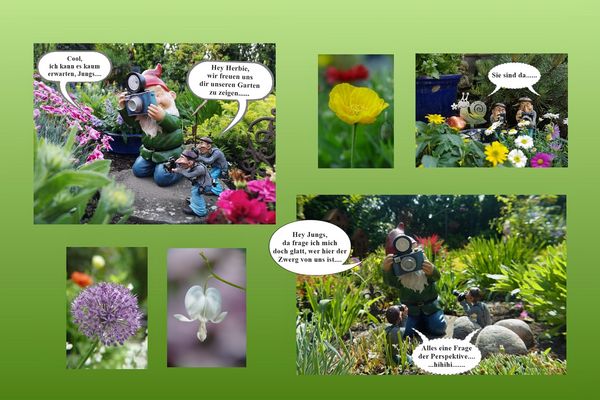 Figuren und Miniaturen Bilder & Fotos