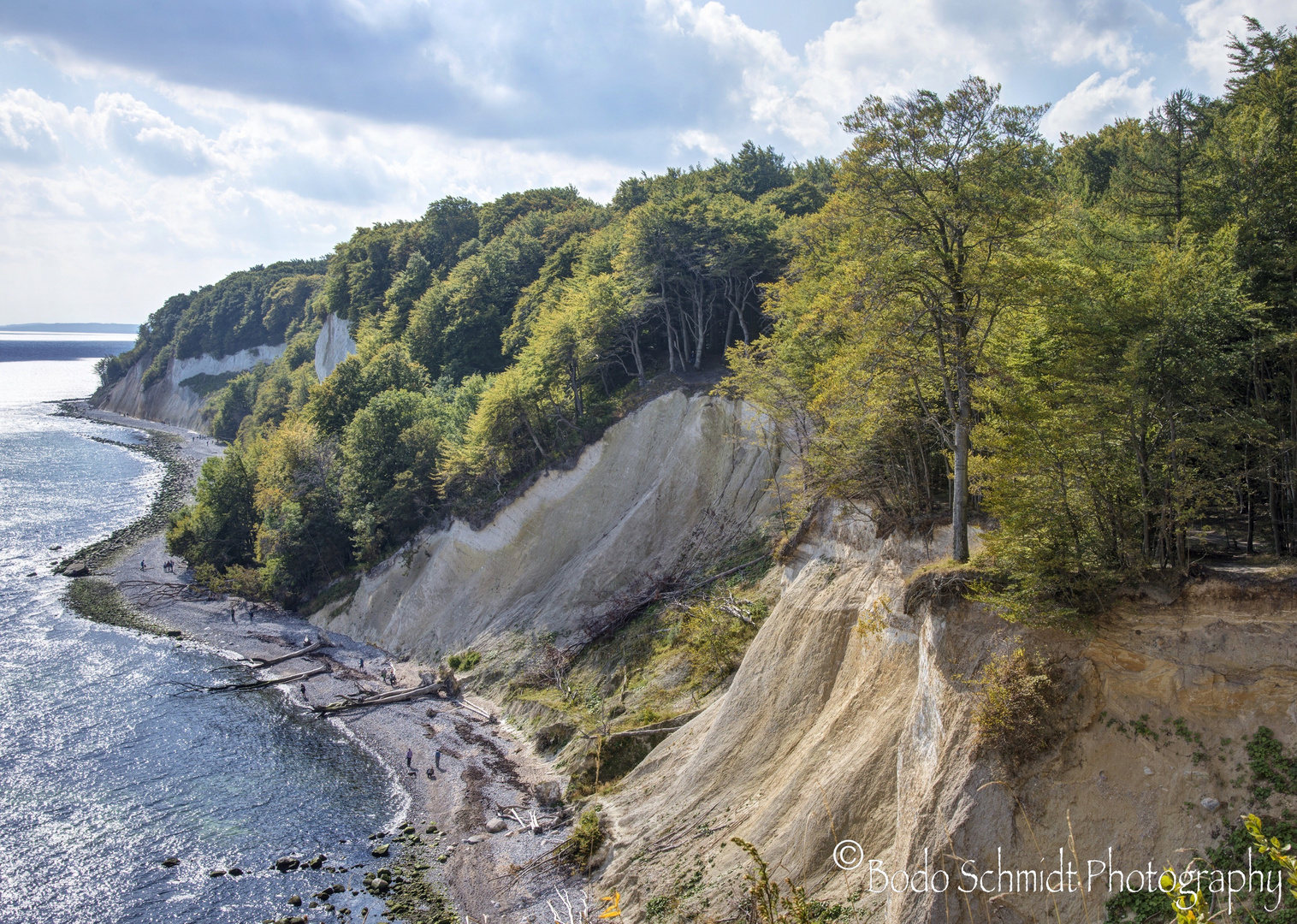 Jasmund Nationalpark Foto & Bild | wald, natur, rügen Bilder auf ...