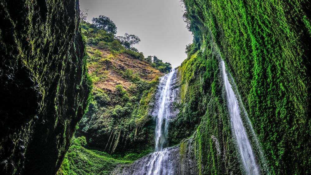 Java Foto & Bild | asia, world Bilder auf fotocommunity