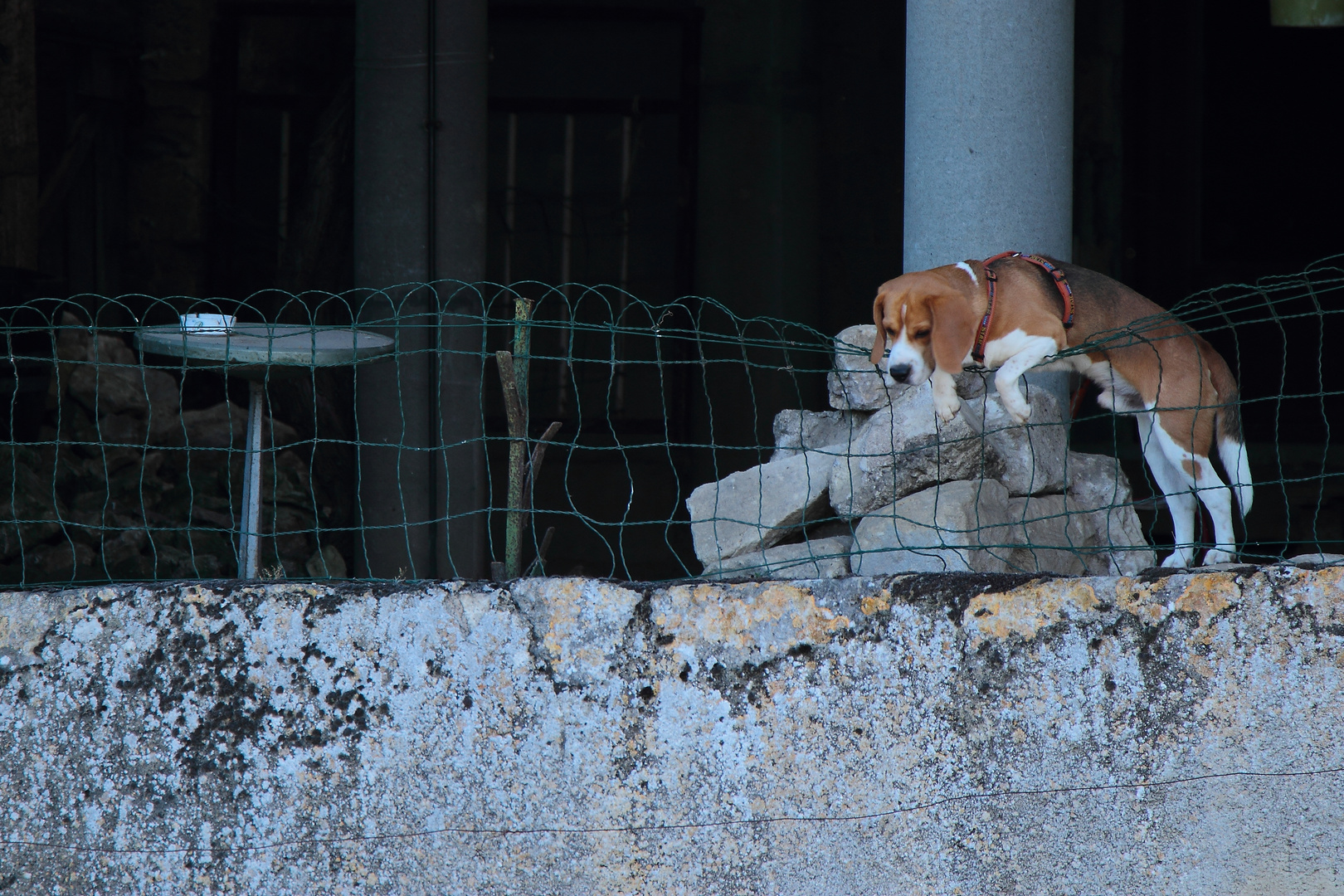 je crois que j'ai trop bu hic hic ............. photo et image | photos ...