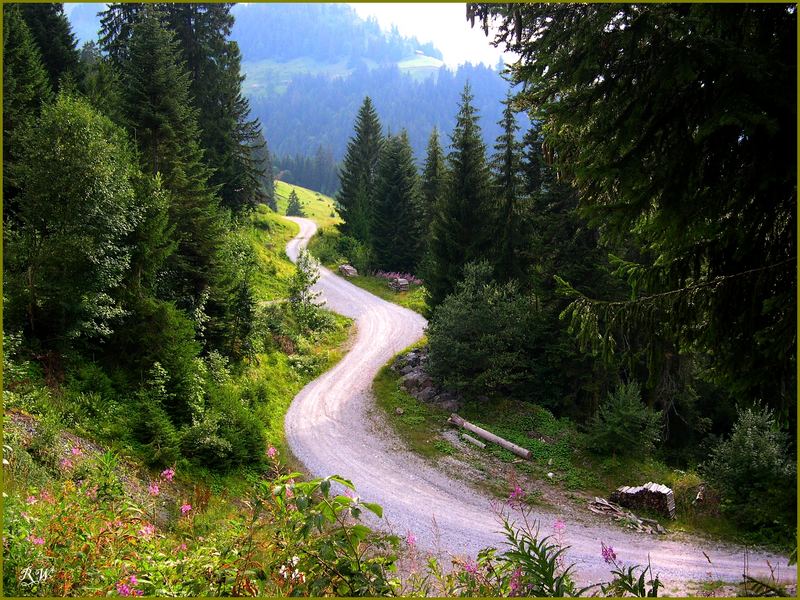 Jeder geht seinen Weg Foto & Bild | landschaft, wege und pfade, natur ...