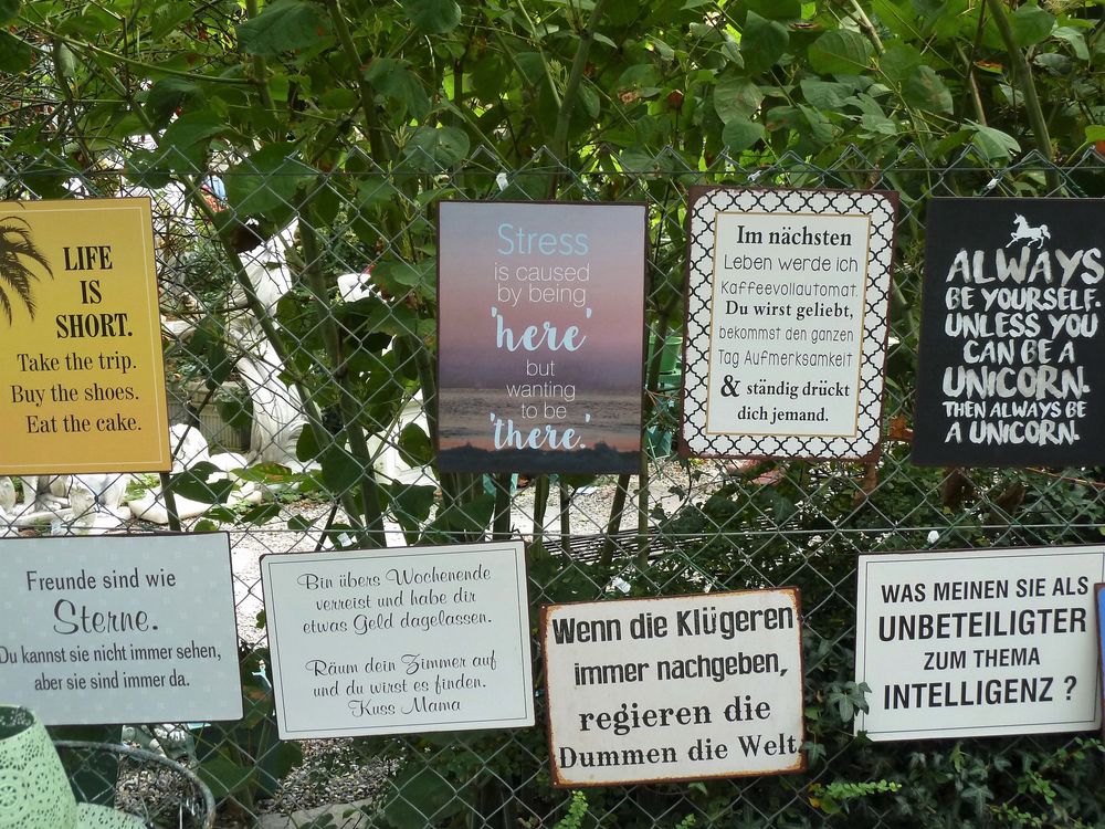 Jeder kann sich etwas aussuchen.... Foto & Bild | motive /dies und das ...