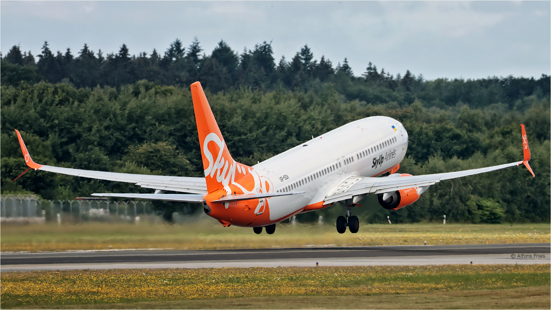 Jetzt aber hoch mit Nase, sonst Nase im Wald! Foto & Bild ...