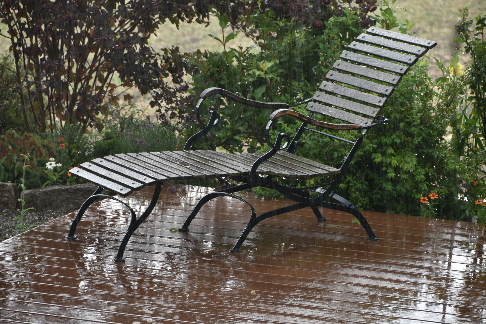 Jetzt regnet es.... Foto & Bild | jahreszeiten, sommer, regen Bilder ...