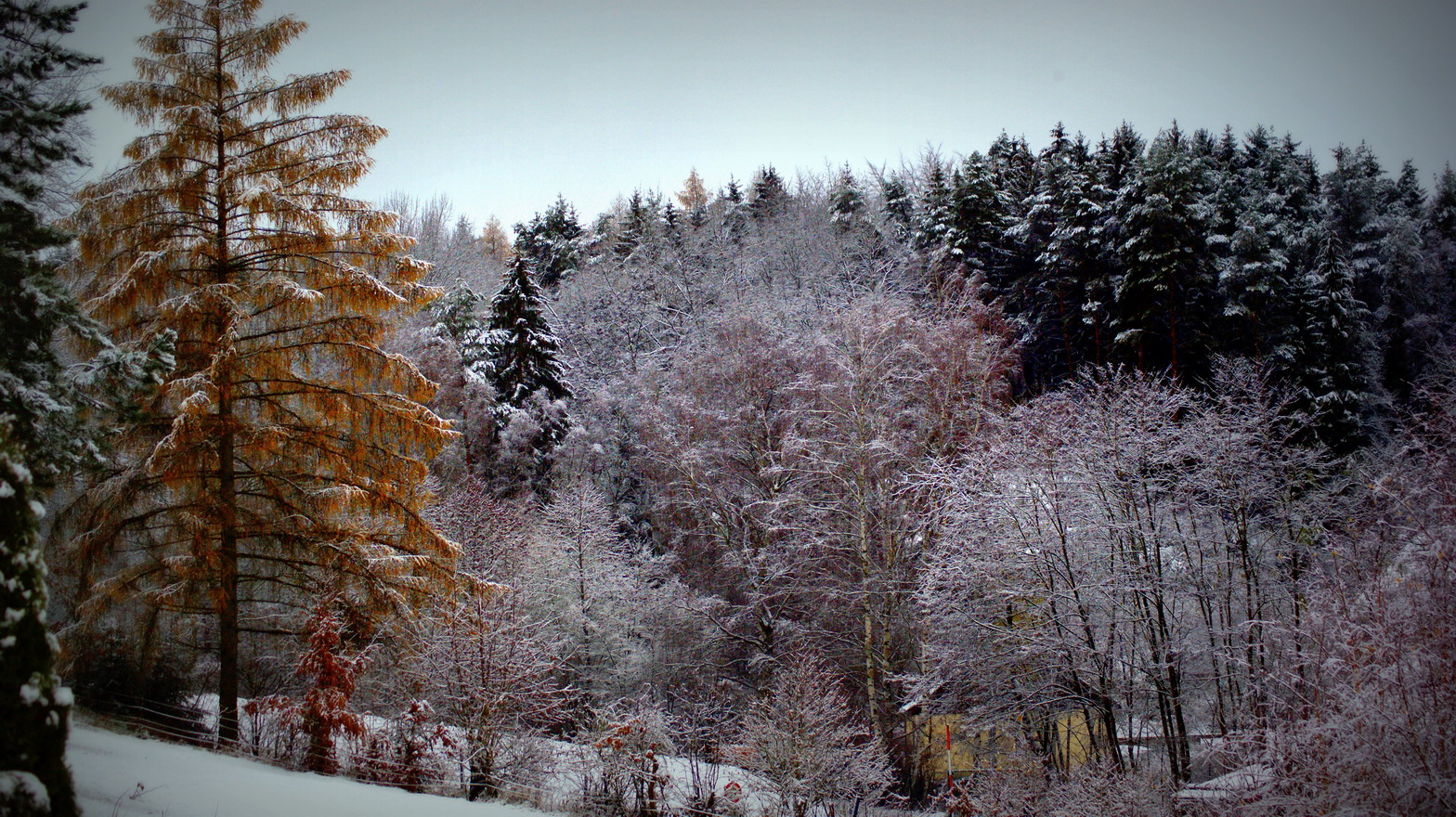 Jetzt wird’s Kalt und trotzdem Spannend Foto & Bild | landschaft ...