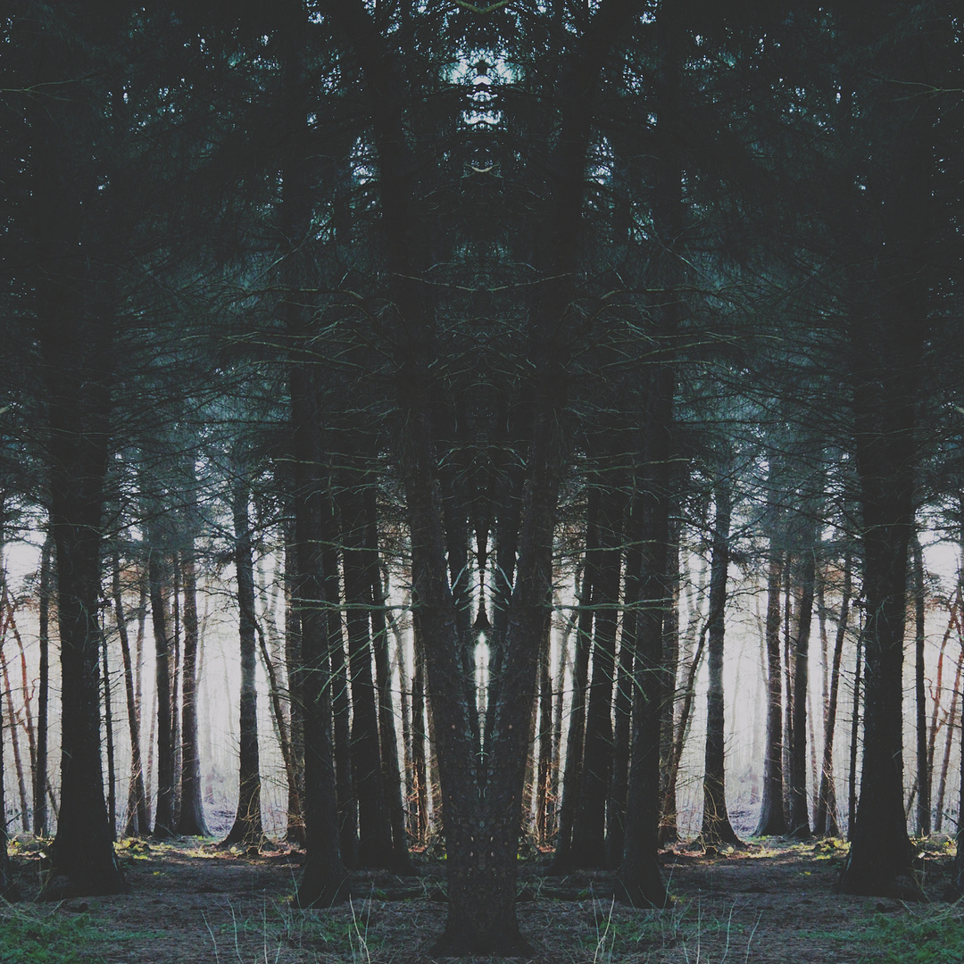 Jötunn Foto & Bild | landschaft, fotomontage, wald Bilder auf fotocommunity