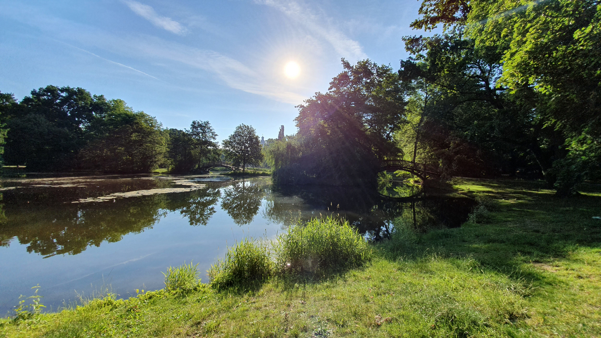 Johannapark Leipzig (25.06.2019) Foto & Bild | landschaft, bach, fluss ...