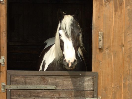 Angela Thiel - Fotos & Bilder - Fotografin | fotocommunity