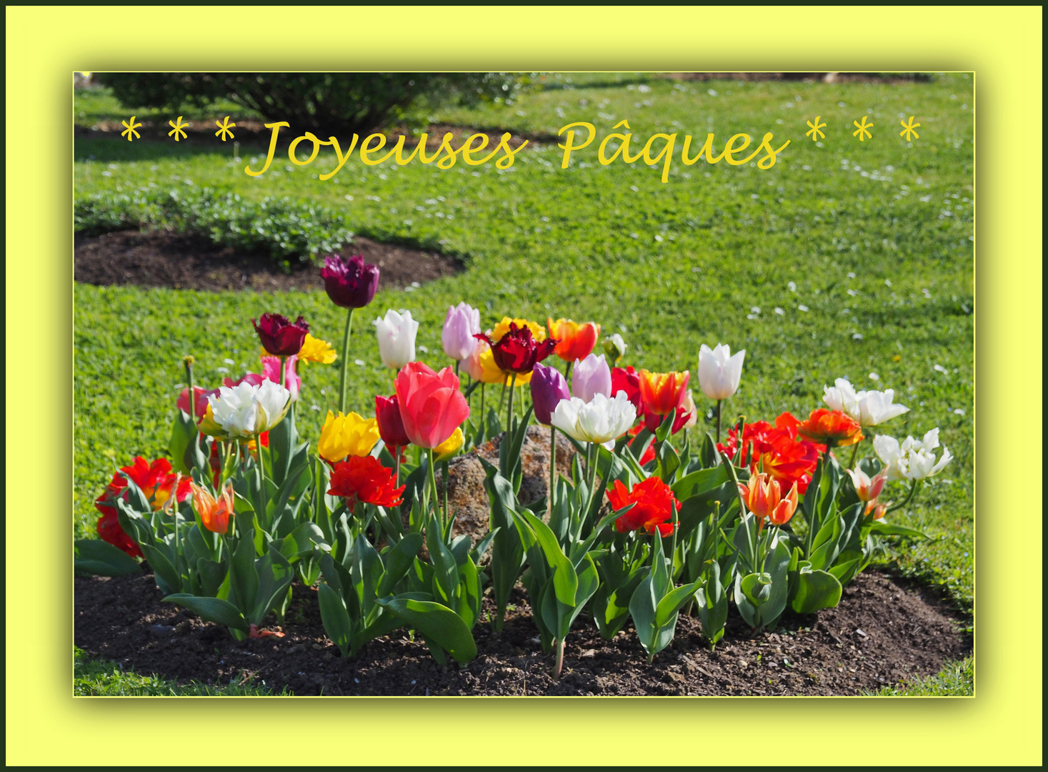 Joyeuses fêtes de Pâques. photo et image | tulpen, frühling, ostern ...