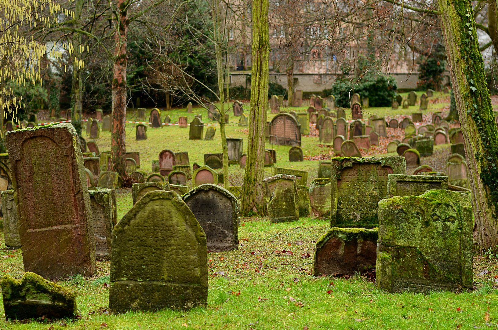 Jüdischer Friedhof "Heiliger Sand" in Worms Foto & Bild | architektur ...