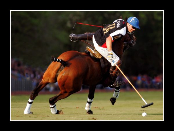 Jugada maestra Imagen & Foto | south america, argentina, buenos aires ...