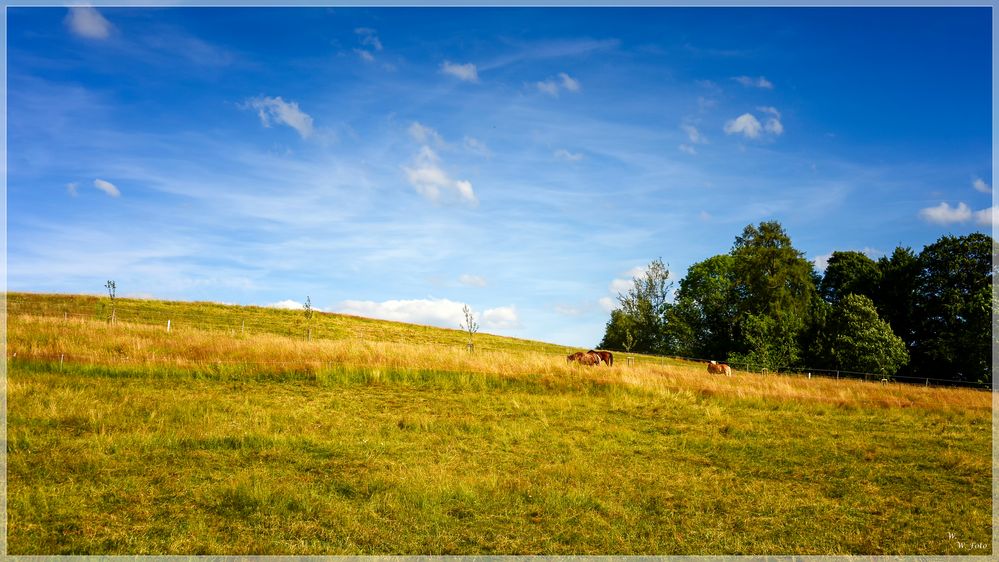 Juli 2020 Foto & Bild | natur, landschaft, acker Bilder auf fotocommunity